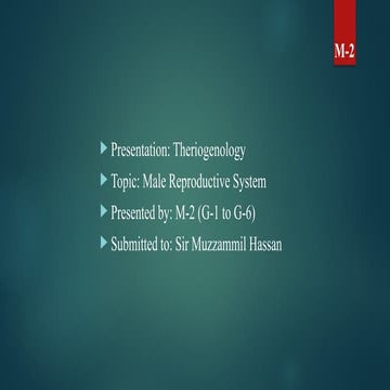 Animal reproduction subject notes help ful | PPT