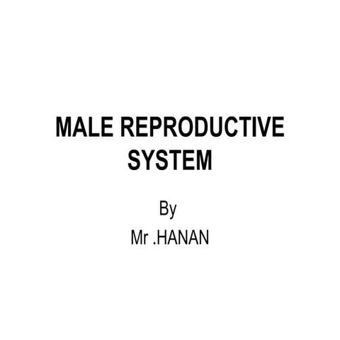 Male reproductive system | PPT