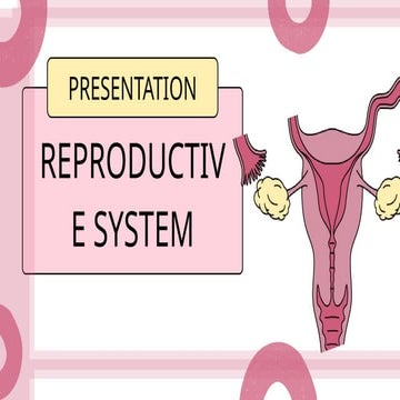 Male Reproductive System Biology Presentation in a Bold Pink Style.pptx