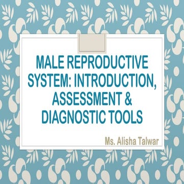 Male reproductive system introduction & assessment | PDF