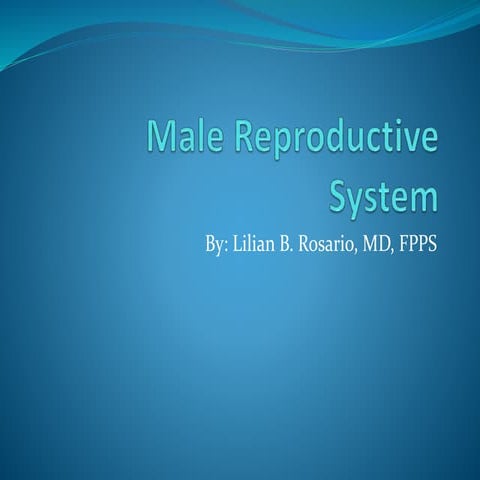 The Male Reproductive system lecture.pptx