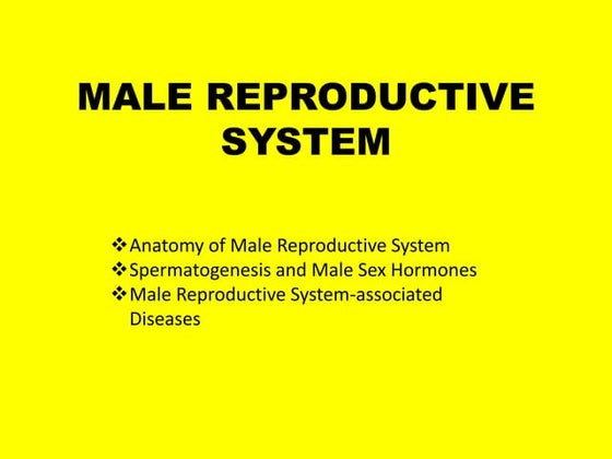 Derivations of ENZYME KINETICS (Part 1 - simplified and detailed) | PDF