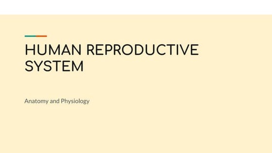 Female reproductive system.pptx