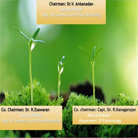 Male sterility in plant breeding | PPTX