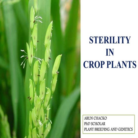 Male sterility in plants | PPT