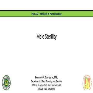 Male Sterility.pptx