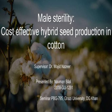 Male sterility in plant breeding | PPTX
