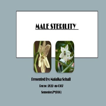 Male sterility(Malaika Sohail).pptx male sterility example detail ...