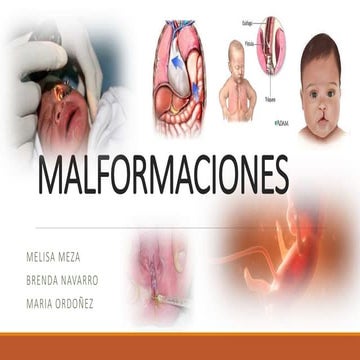 MALFORMACIONES-1.pptx