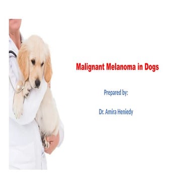 Malignant melanoma in dogs: diagnosis and treatment | PPTX