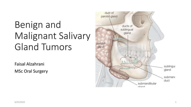 2022 WHO Salivary gland tumors update.pdf