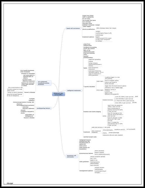 Cnslm immunology mind map | PDF