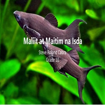 Maliit at Maitim na Isda | PPTX