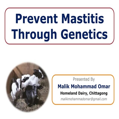 Prevent Mastitis through Genetics_Malik Omar_UHB_Workshop_2018 | PPTX