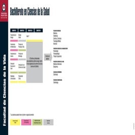 malla-bachillerato-en-ciencias-de-la-salud-unab.pdf