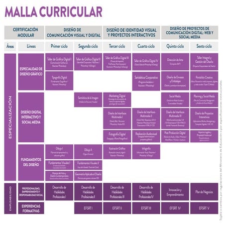 Malla Curricular.pdf