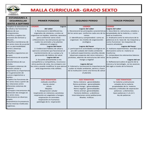 Malla sexto | PDF