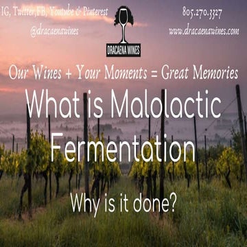 Malolactic Fermentation.pptx