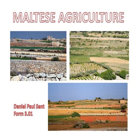 Maltese Agriculture by Daniel Paul Sant, 3.01