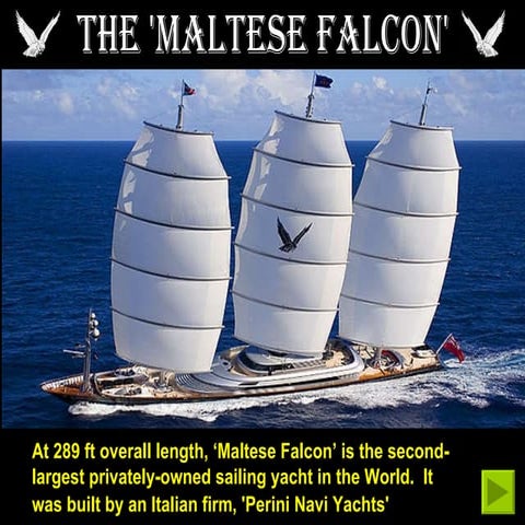 Maltese falcon | PPS