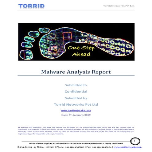 Malware Analysis Report | PDF