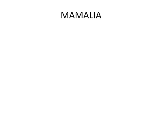 Mamalia | PPTX