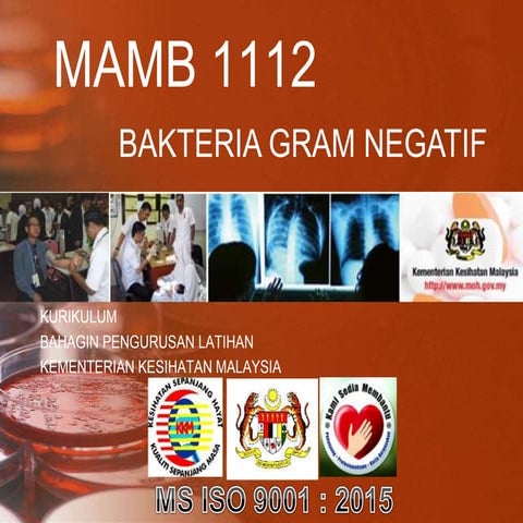 Mamb 1112 2.3 bakteria gram negatif | PPTX