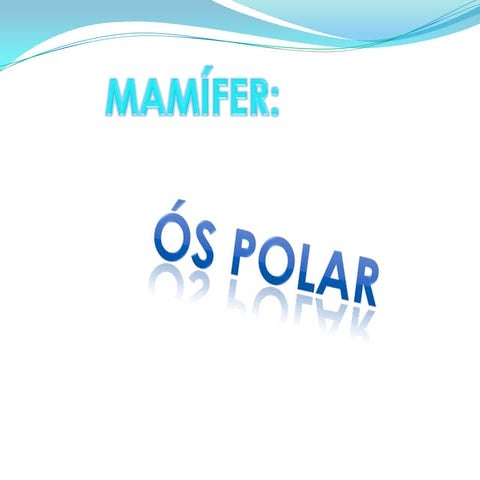 Mamífer | PPT