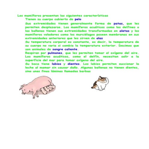 Los mamiferos y su caractaristicas | PPTX