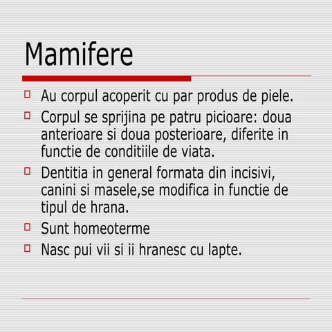Mamifere | PPT