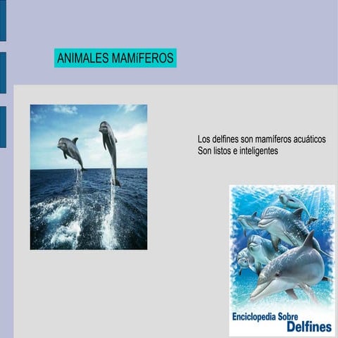 Los Mamiferos Terrestres | PPT