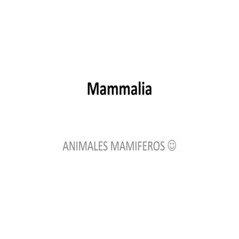 Mamíferos (clase mammalia) | PPTX