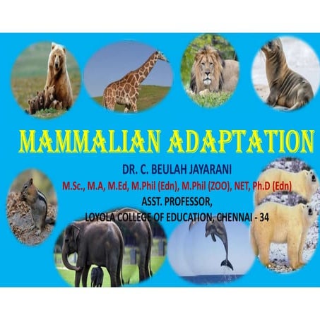 Mammalian adaptation | PPT