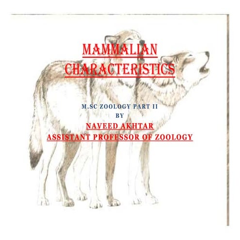 Mammalian Characteristics | PPT