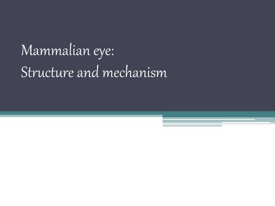 ppt on Eye anatomy | PPT