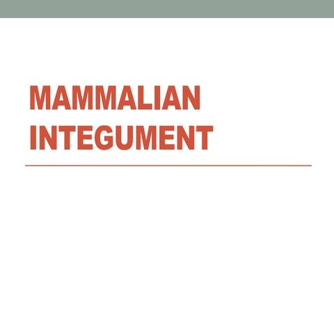Mammalian integument final | PPTX