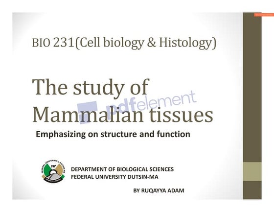 types of animal tissues class 9 | PPTX | Bone and Joint Conditions | Diseases and Conditions
