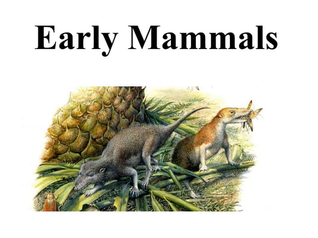 Origin and Evolution of Mammals | PPTX