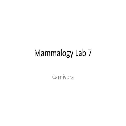 Mammalogy lab 7 | PPTX