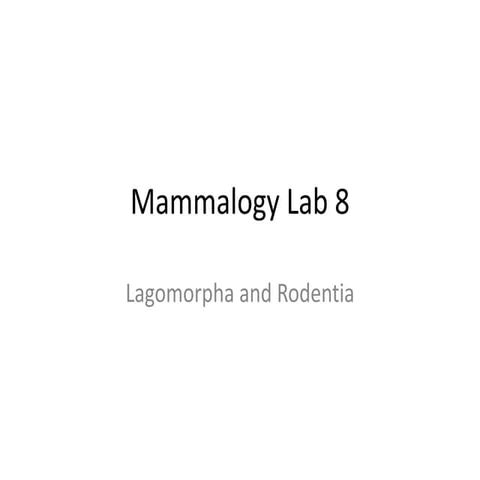 Mammalogy lab 8 | PPTX