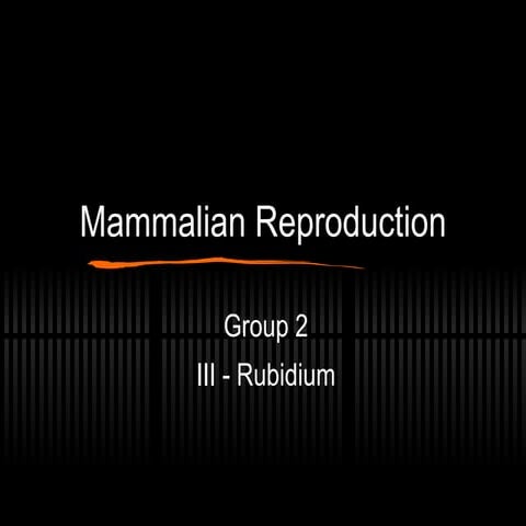 Mammalian Reproduction | PPT