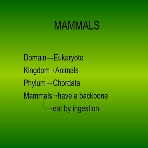 Mammals | PPT