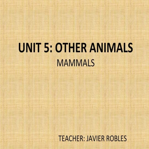 Mammals | PPT