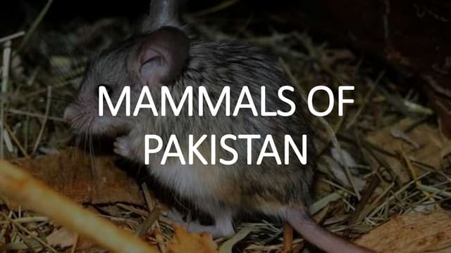 FLORA & FAUNA OF J&K.pptx