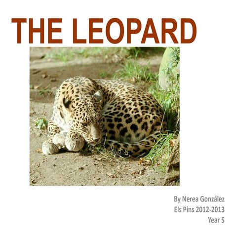 Mammals leopard | PPTX