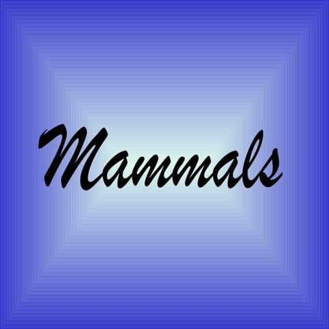 Mammals (1) | PPT