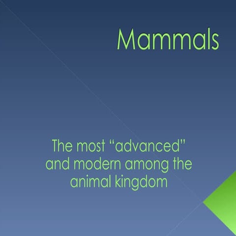 Characteristics of mammals | PPT