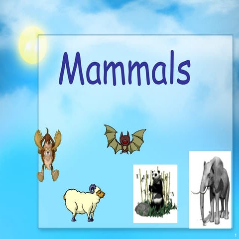 Mammals1 easy for kids | PPT