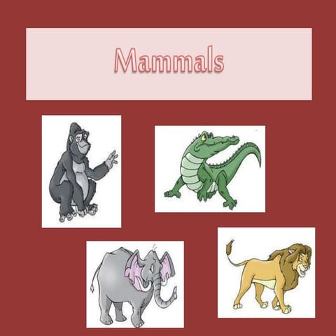 Mammals,birds and fish (1) | PPTX | Birds | Pets