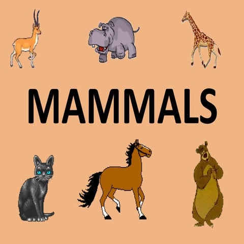 Mammals, birds, fish and amphibians (ScienceandEnglish.com) | PPT